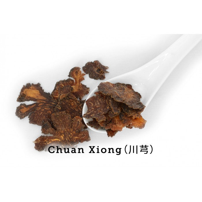 Digestive Health (Probiotics Supplement) | Vermlion Group – vermiliongrp