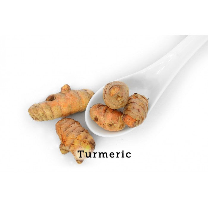 Vermilion | Natural Health Supplement | Digestive Health (Probiotics ...